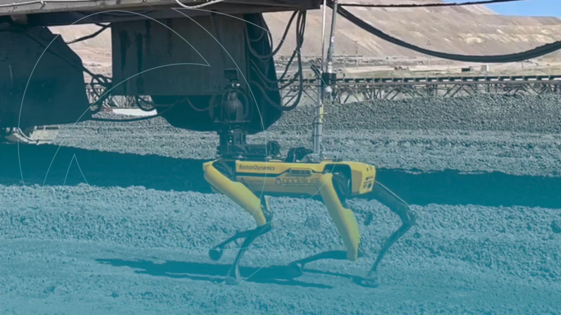 SK Godelius - Conveyor Belt Automated Inspection System